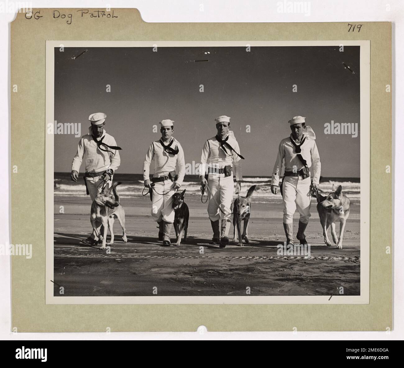 Coast Guardsmen and their dogs prepare for patrols, highlighting the ...