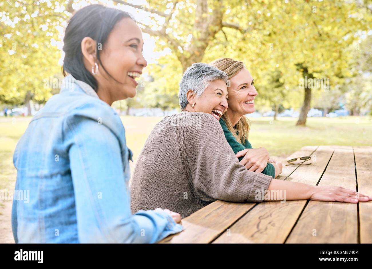 Park, senior women and friends laughing at funny joke, crazy meme or ...