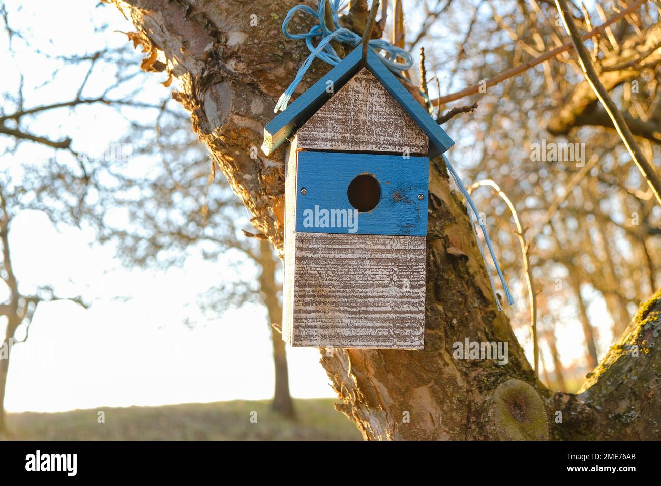 Birdhouse on a tree. white blue birdhouse on a tree in a sunny spring ...