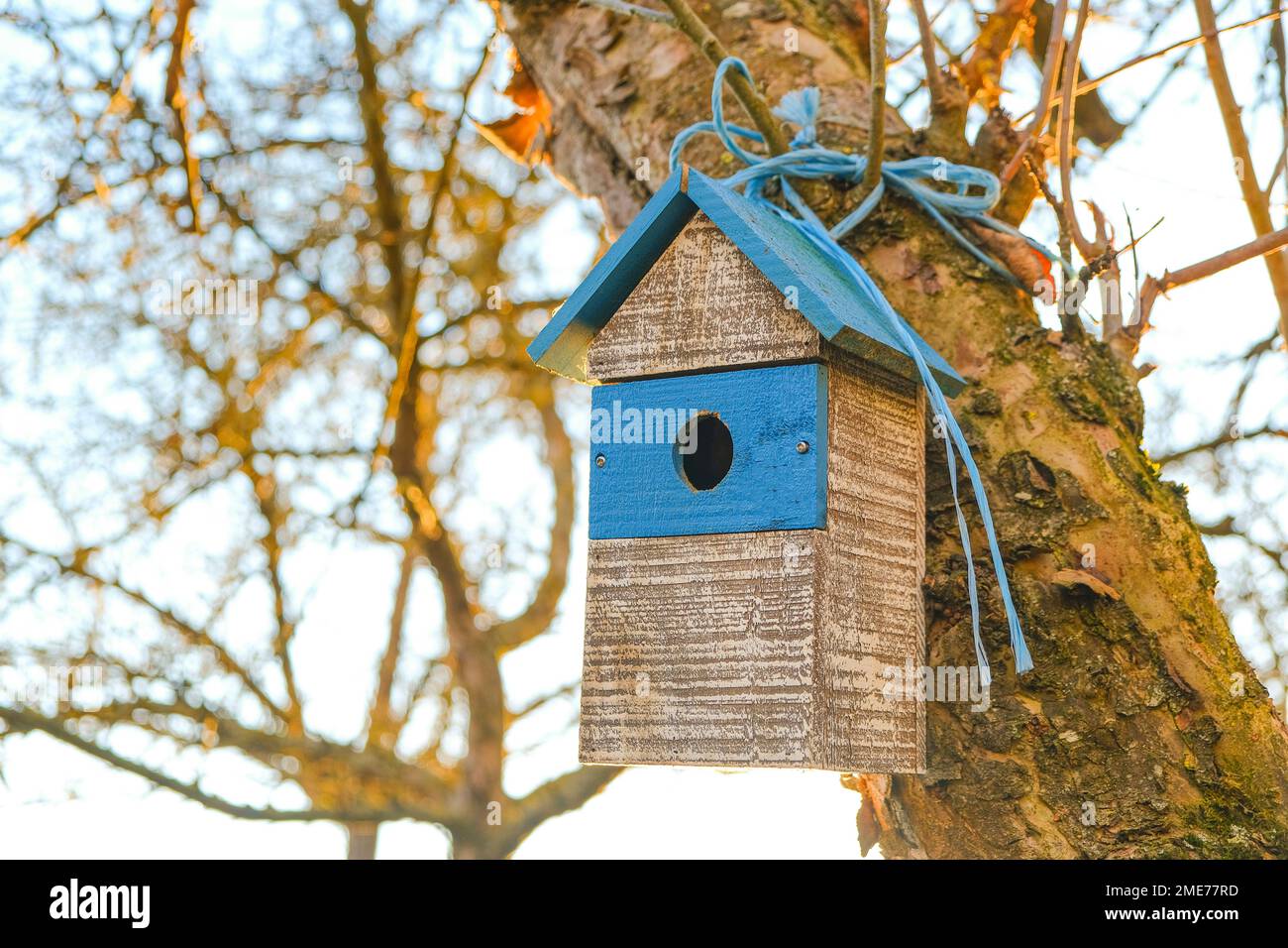 Birdhouse on a tree . Wooden white blue birdhouse on a tree in a sunny ...
