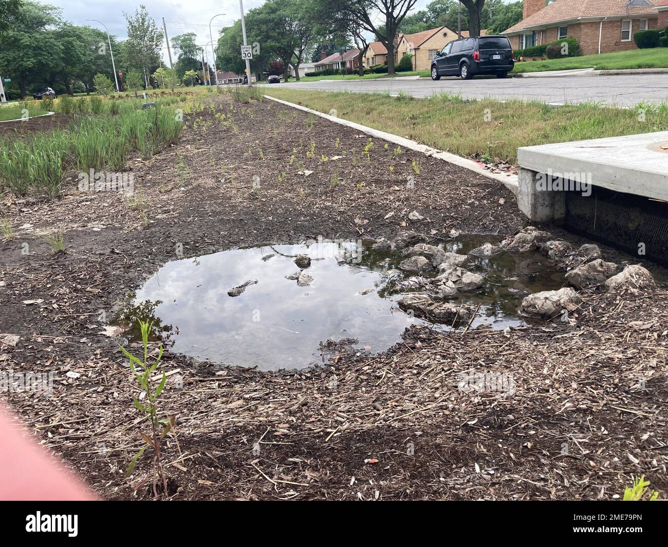 Detroit's Water and Sewerage Department has installed bioswales and ...