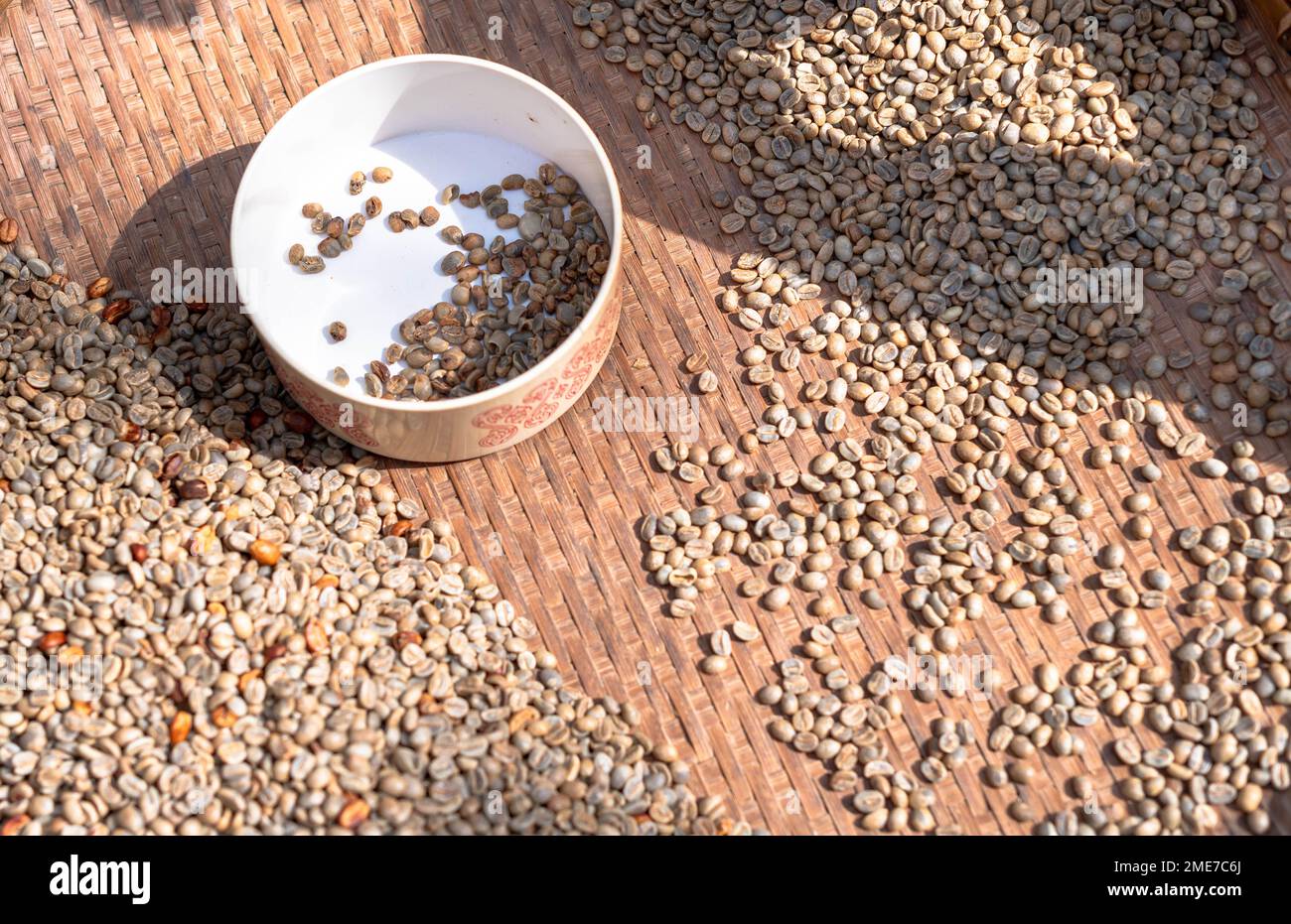 Farmers sort rotten and fresh coffee beans before drying. traditional ...