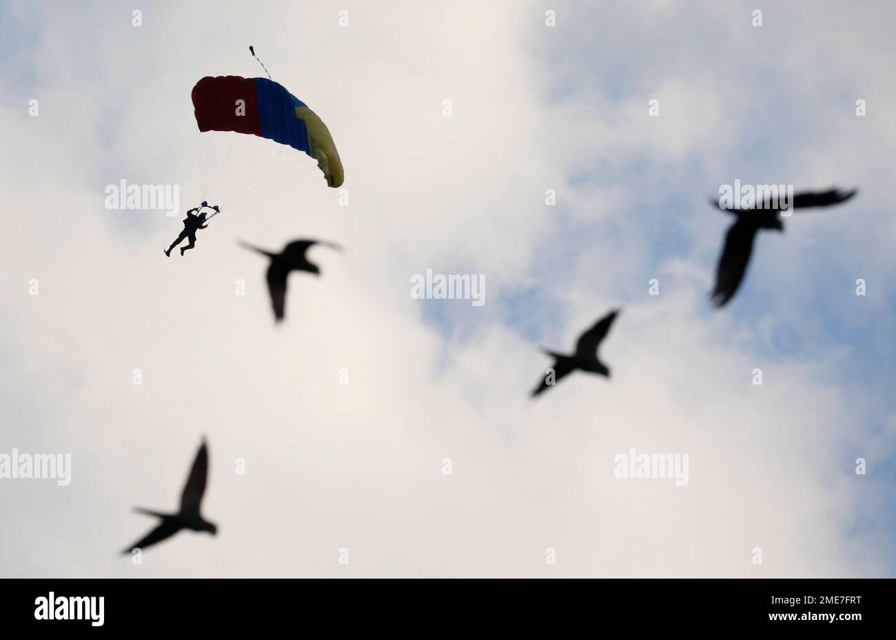 A skydiver floats down on his parachute during a military parade ...