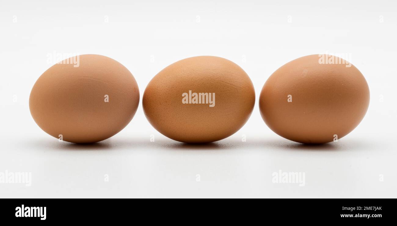 Huevos de gallina aislados sobre fondo blanco Stock Photo - Alamy