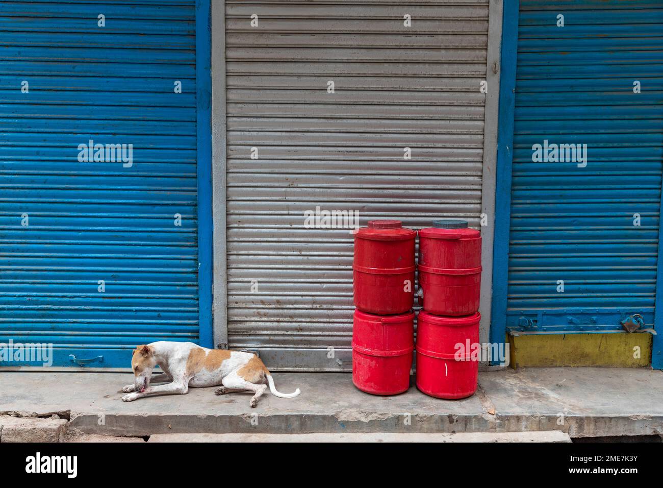 A stray dog rests outside a closed shop early morning in the old market ...