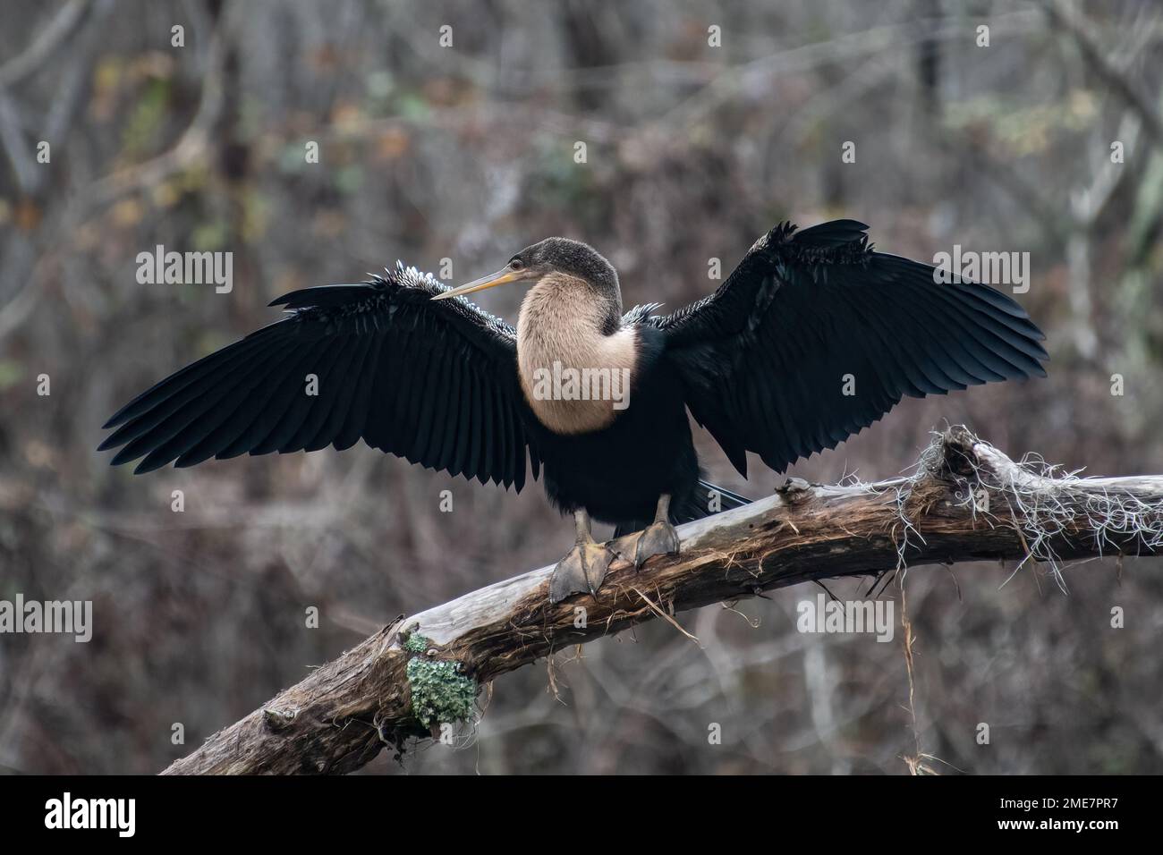 Air drying airing hi-res stock photography and images - Alamy