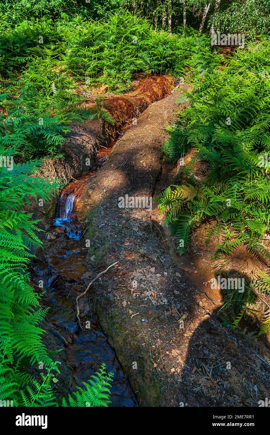 Ochreous discharge from an abandoned and buried ganister mine high in ...