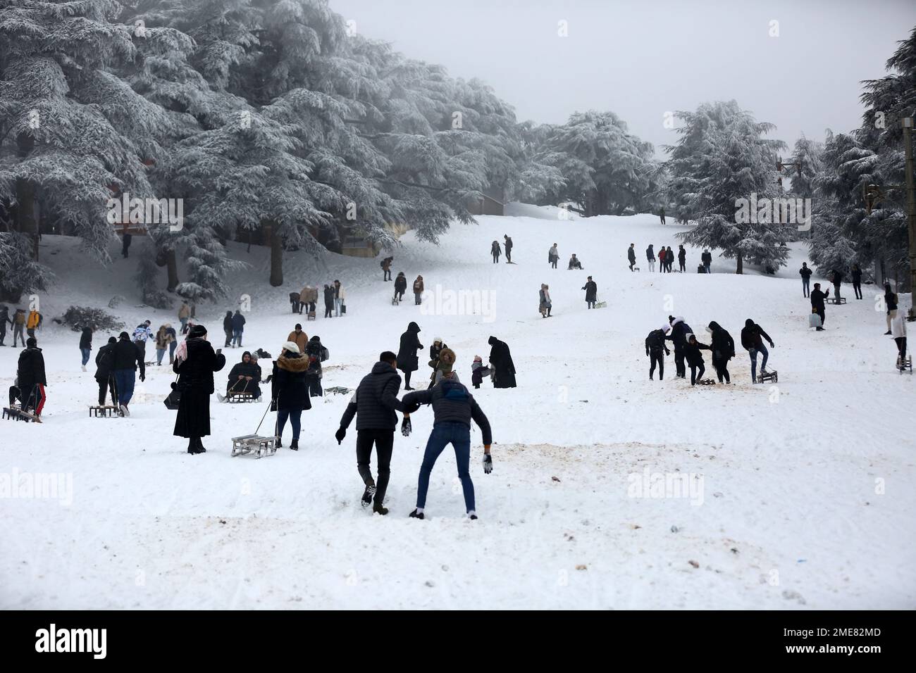 Algeria 2023 hi-res stock photography and images - Alamy