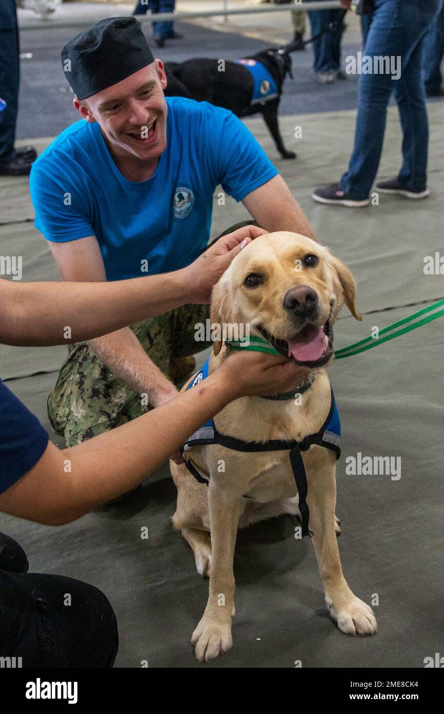 Aviation Boatswain’s Mate Airman Matthew T. Finnerty, from Scituate ...