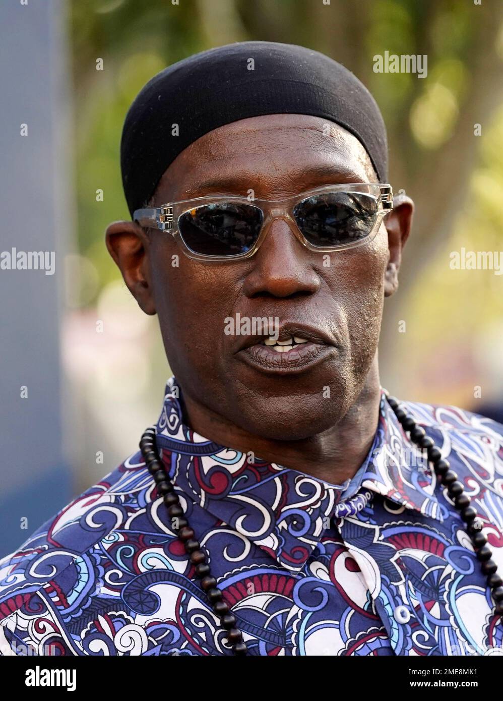 Actor Wesley Snipes poses at the Los Angeles premiere of the film "The ...