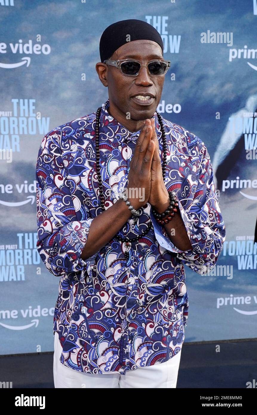 Actor Wesley Snipes poses at the Los Angeles premiere of the film "The ...
