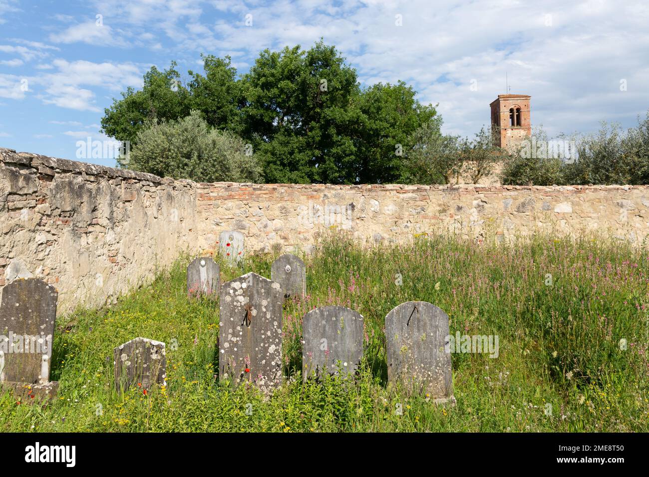 Cemetery headstones hi-res stock photography and images - Alamy