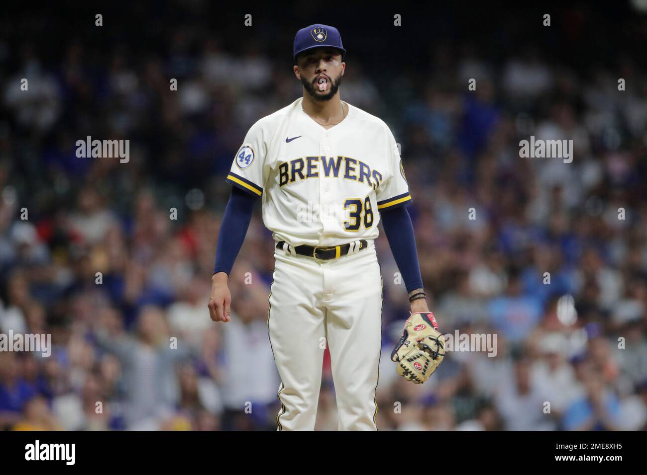 Milwaukee Brewers' Devin Williams reacts during the eighth inning of a ...