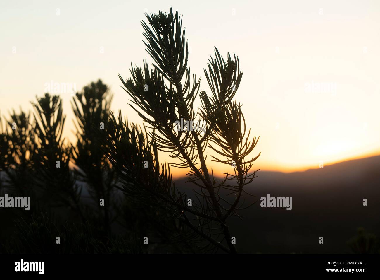The sun sets as seen from the Sedona Airport Scenic Lookout in Sedona ...