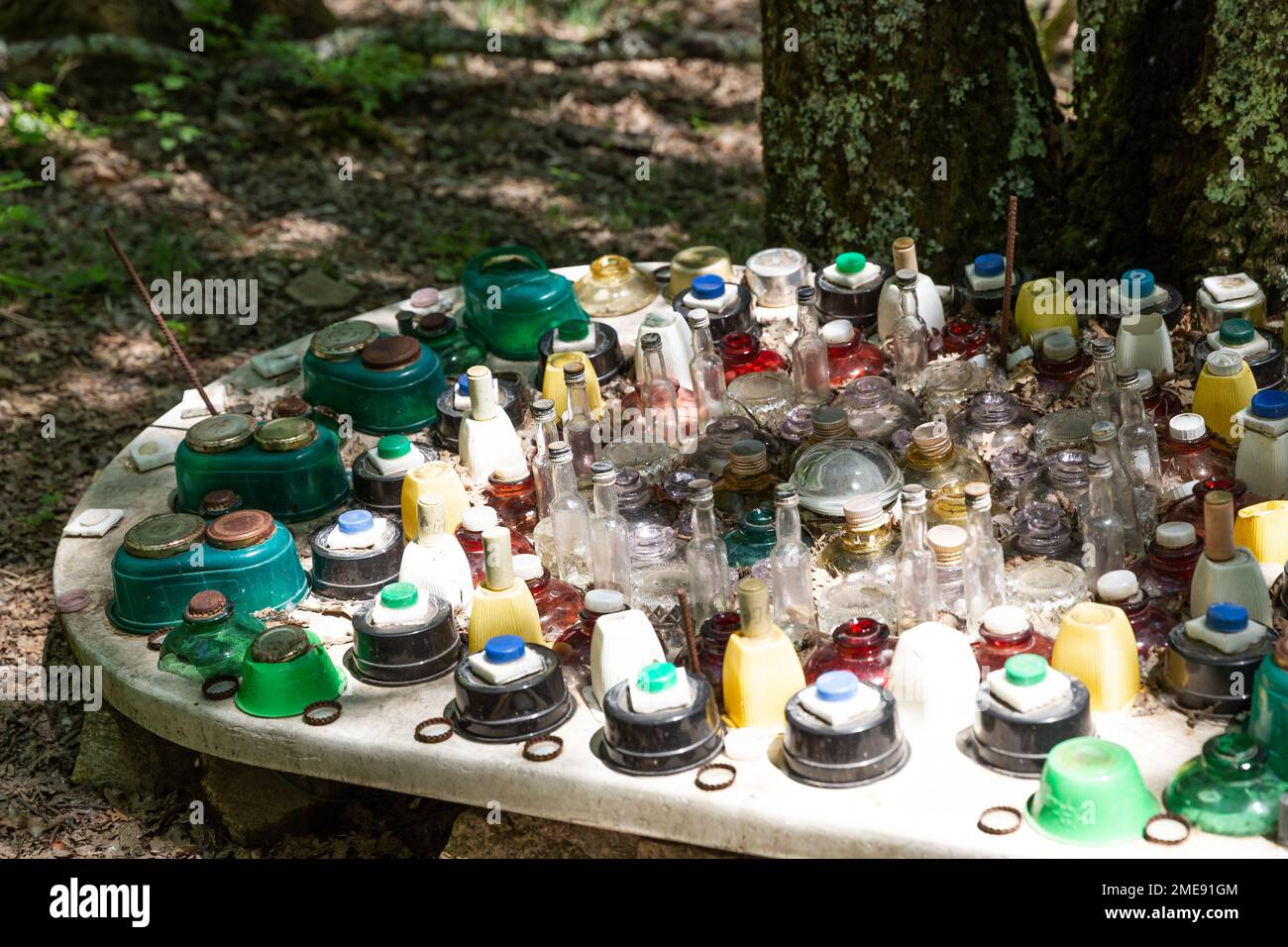 Collection of objects at the magical Dreamwoods Park, hidden in the ...