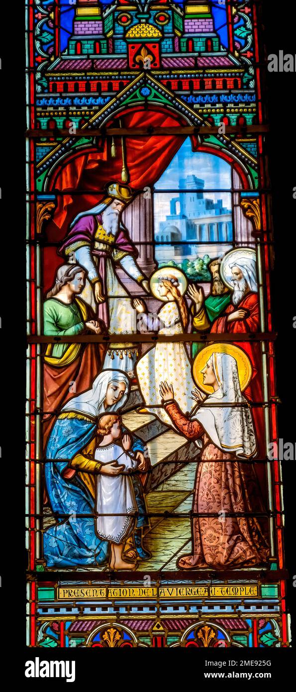 Virgin Mary Presentation Temple Stained Glass Basilica Notre Dame de ...