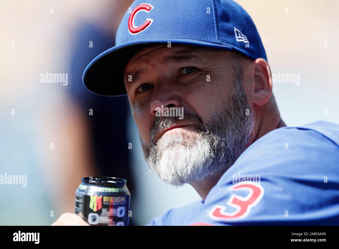 Chicago Cubs manager David Ross looks up in the stands from the dugout ...
