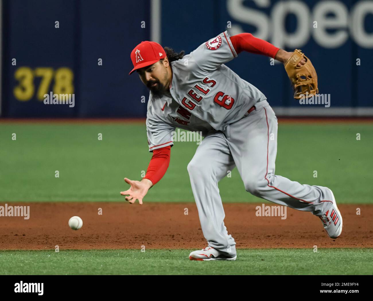 Los Angeles Angels third baseman Anthony Rendon reaches for a ball that ...