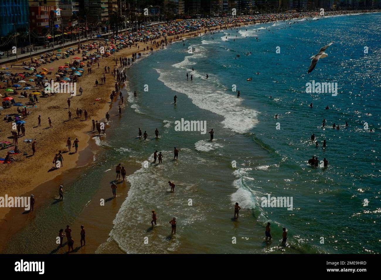 People enjoy a summer's day along the beach in Benidorm, south-east ...