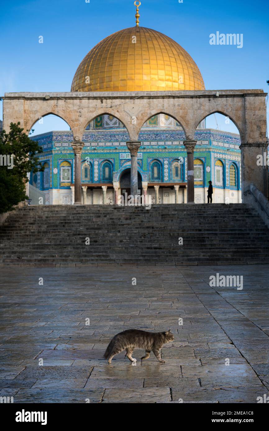 Dome of the rock, Jerusalem, Israel, Asia Stock Photo - Alamy