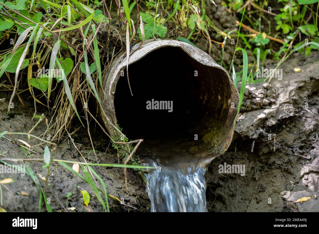 Water flowing from the open outlet of a metal agriculture drainage tile ...