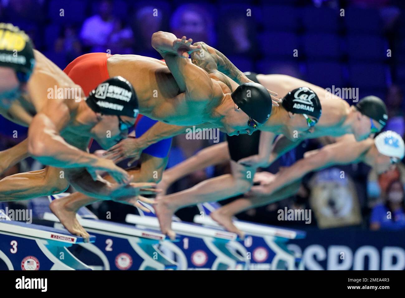 Caeleb Dressel dives at the start of the men's 50-meter freestyle final ...