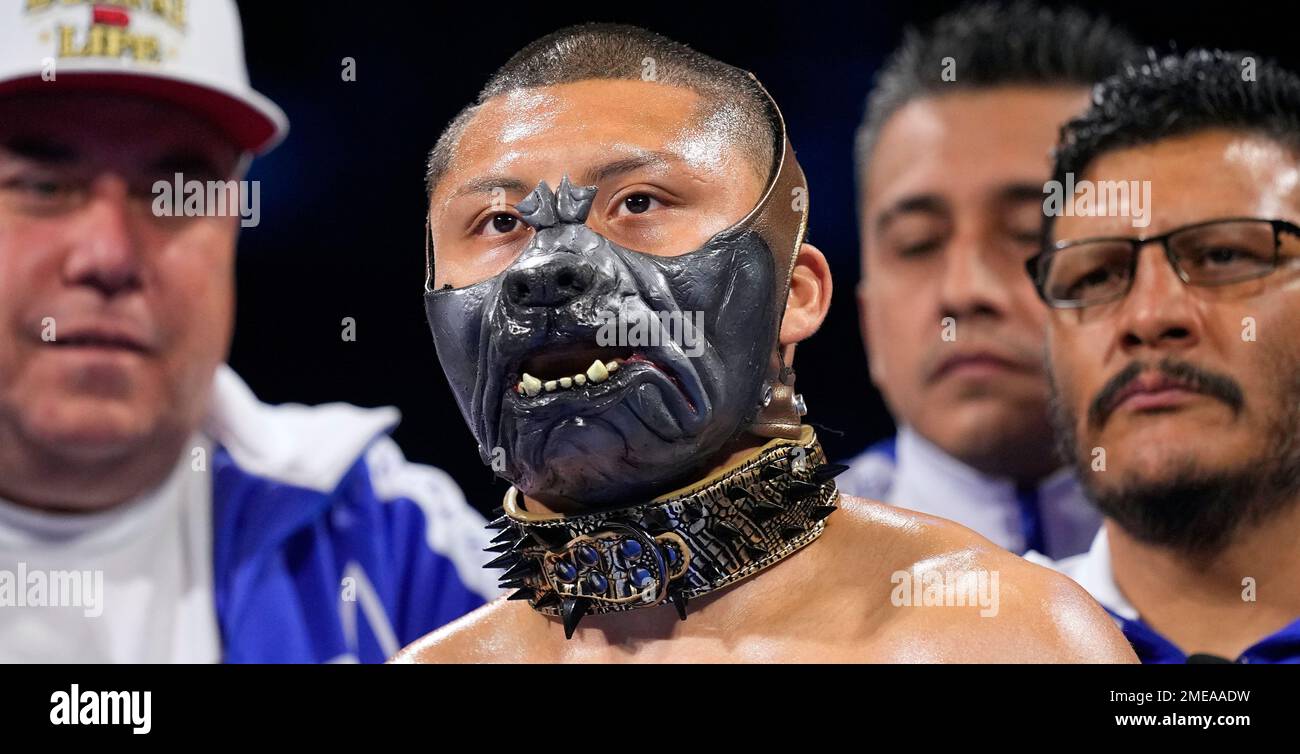 Isaac Cruz wears a dog mask as he enters the ring for a lightweights ...