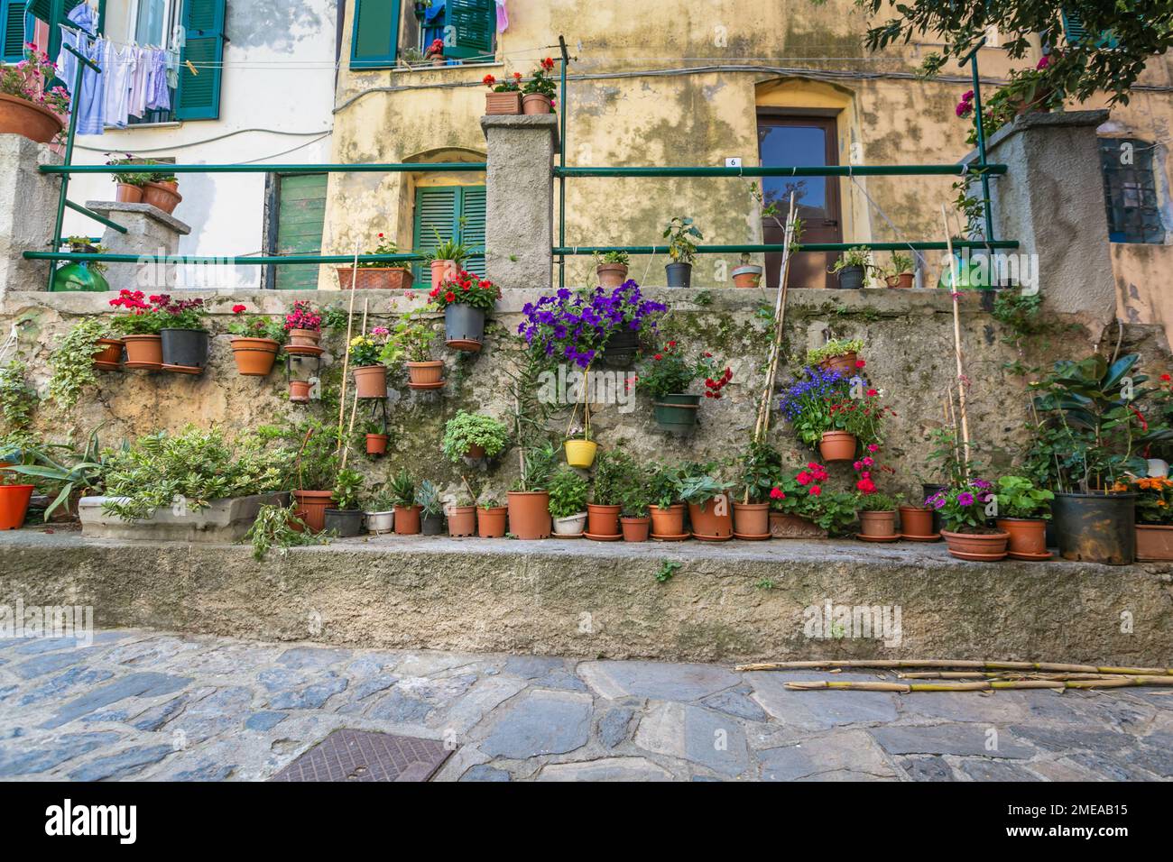 Terracotta pots filled with flowers and plants lined up outside of ...