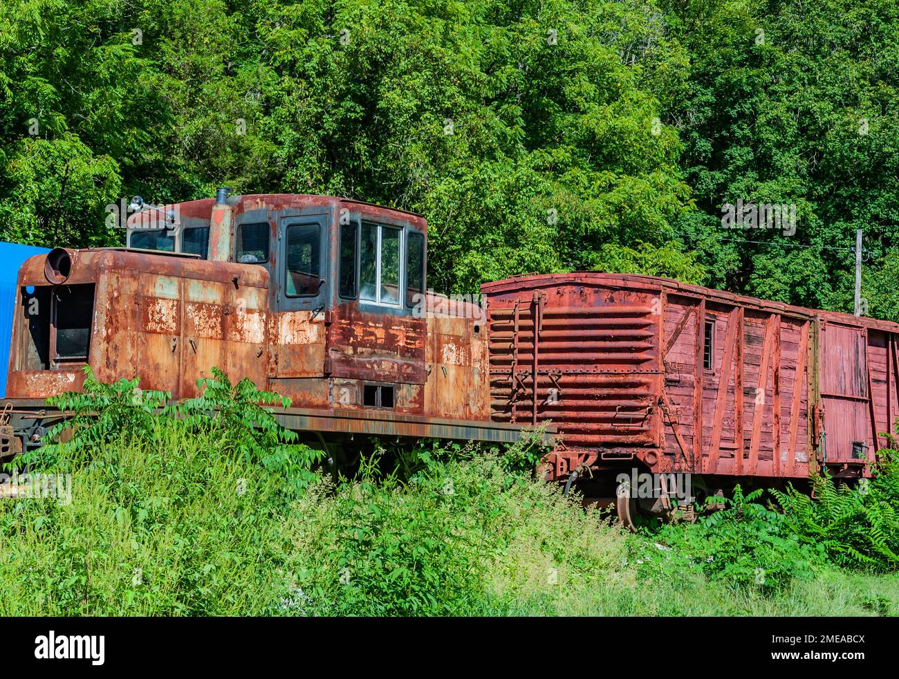 Abandoned Train in the Woods, Muddy Creek Forks, PA USA, Airville ...