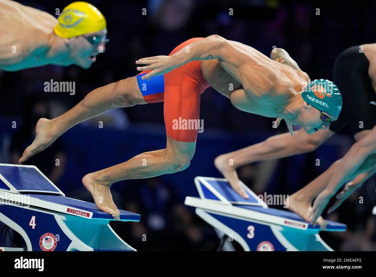 Caeleb Dressel dives at the start of a 50-meter freestyle preliminary ...