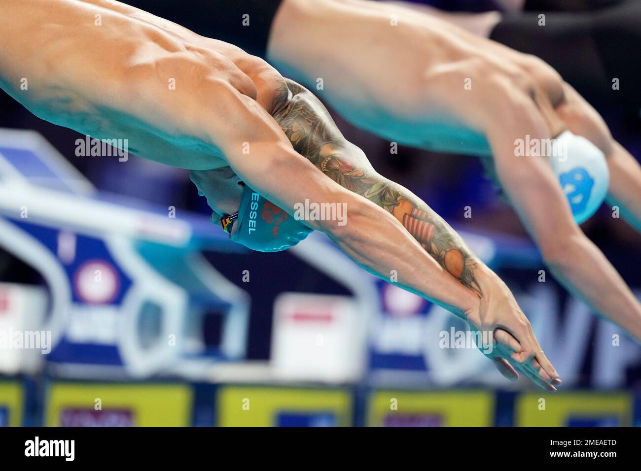 Caeleb Dressel dives at the start of a men's 50-meter freestyle ...
