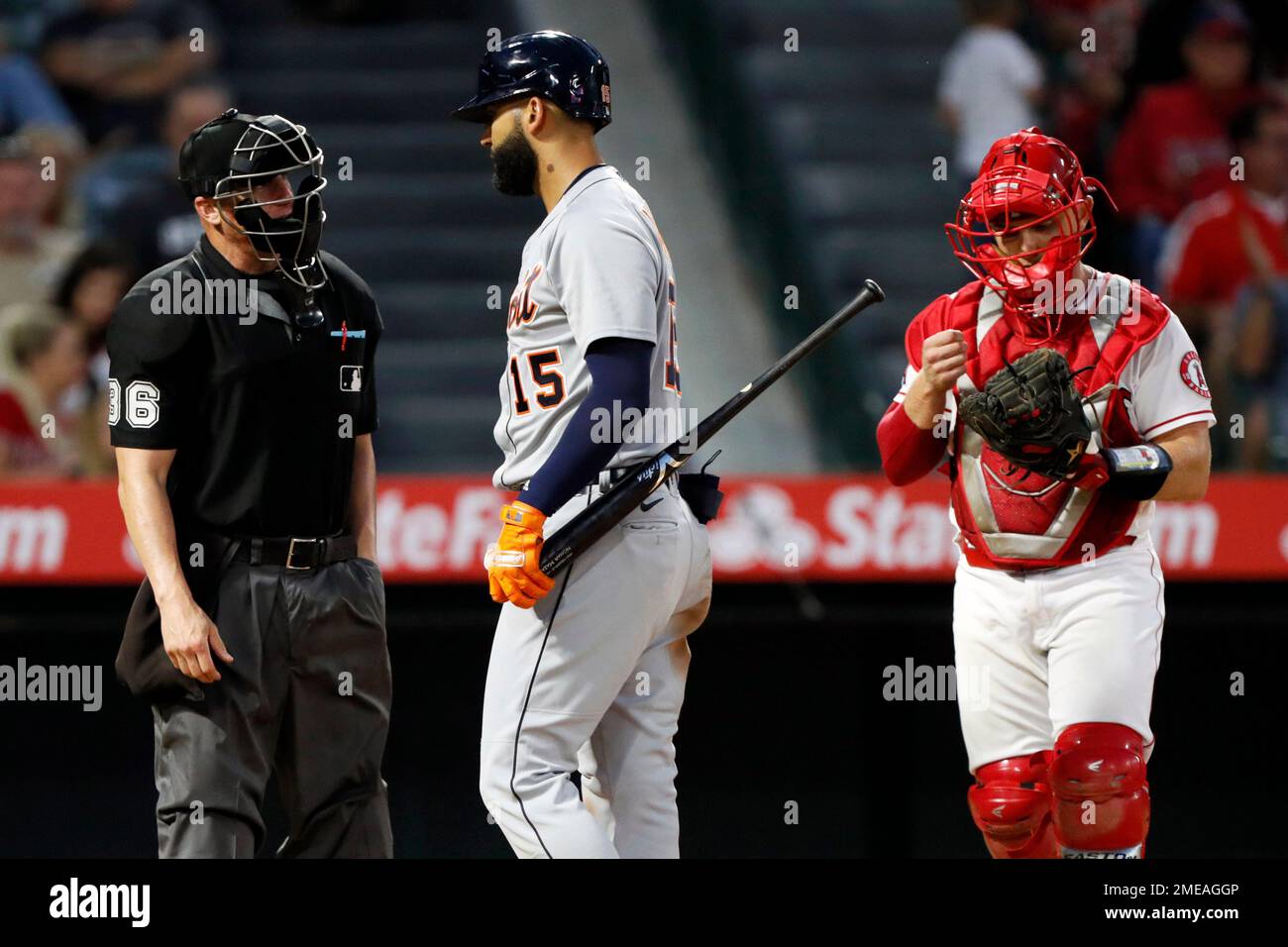 Detroit Tigers' Nomar Mazara, center, talks with home plate umpire Ryan ...