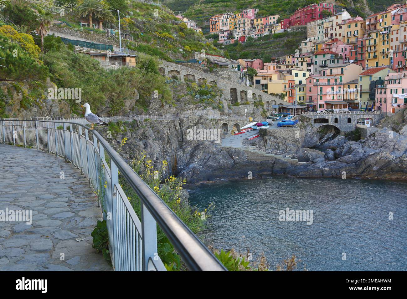 Early morning view of cliffside coastal village of Manarola, Cinque ...
