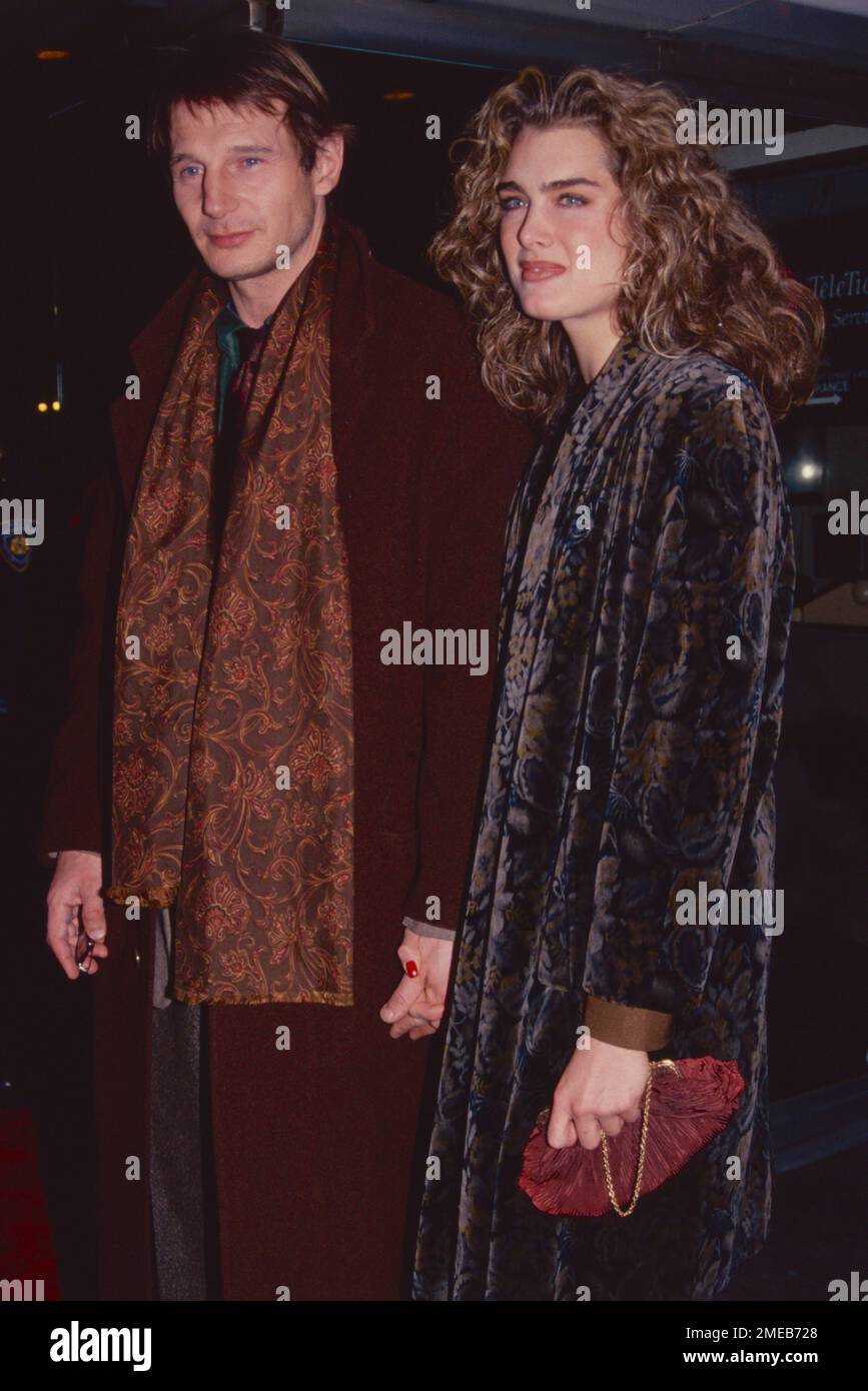 Liam Neeson and Brooke Shields attend the premiere of "Under Suspicion ...