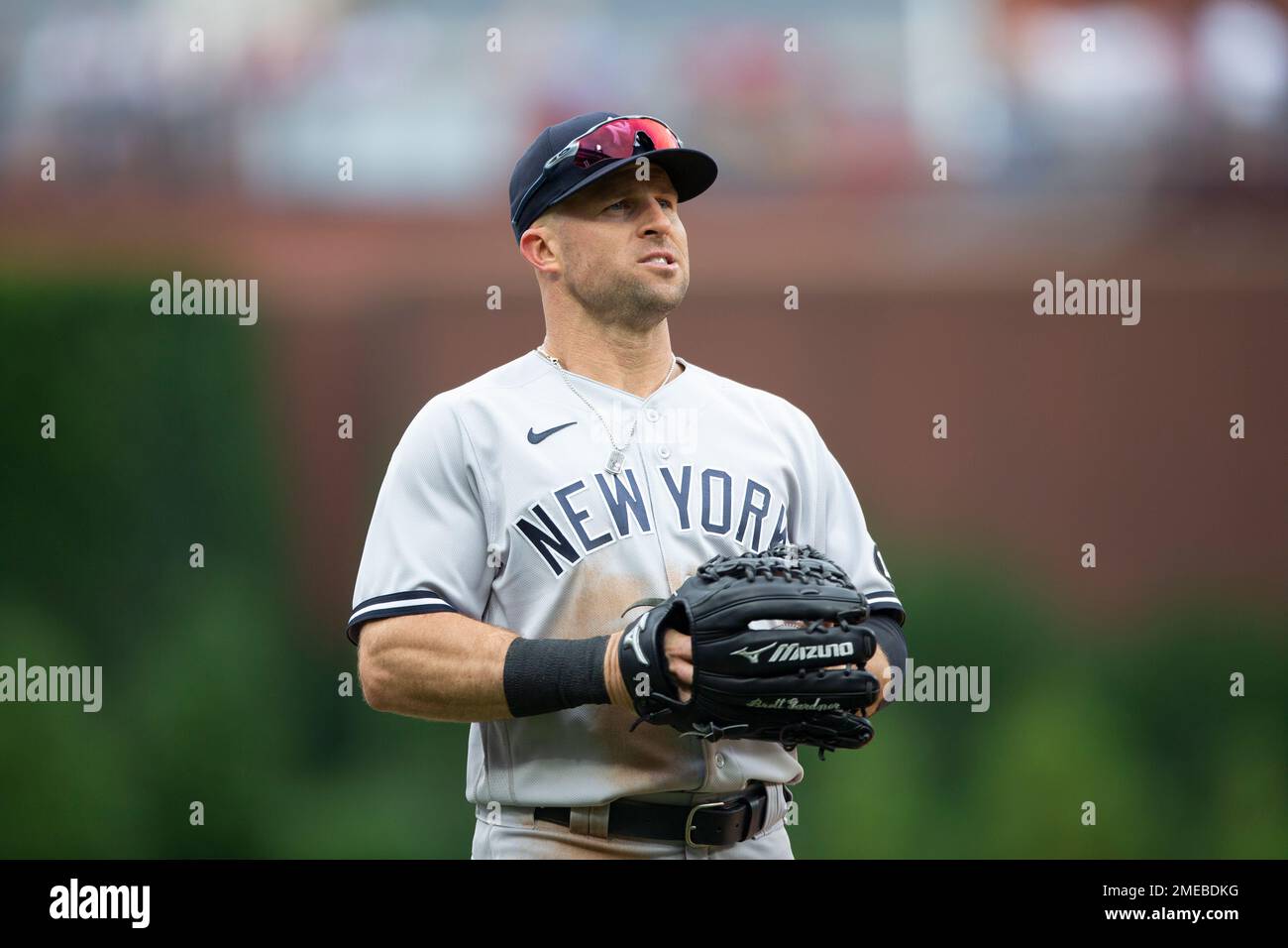 Brett Gardner