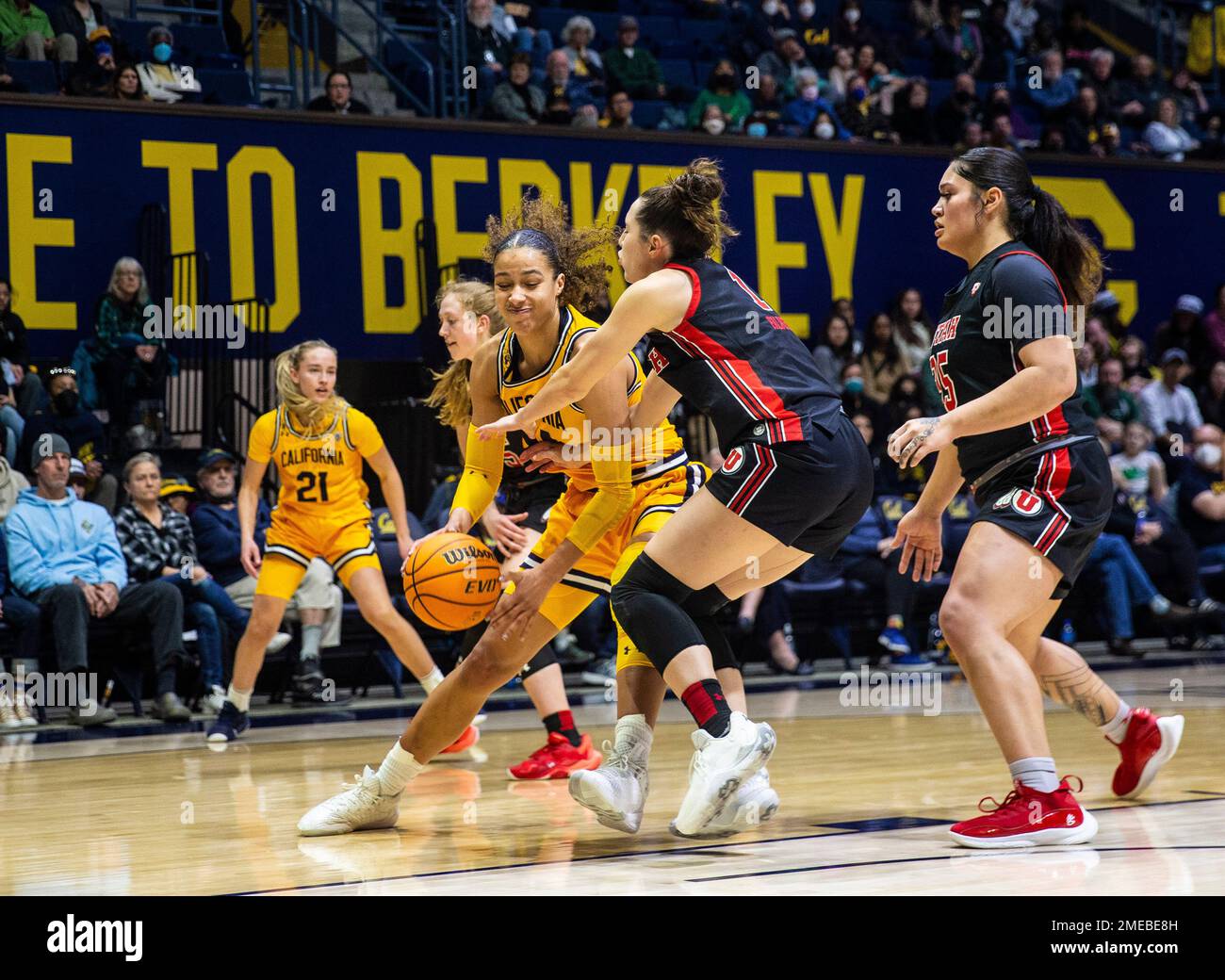 2023 0225 jpg hi-res stock photography and images - Alamy