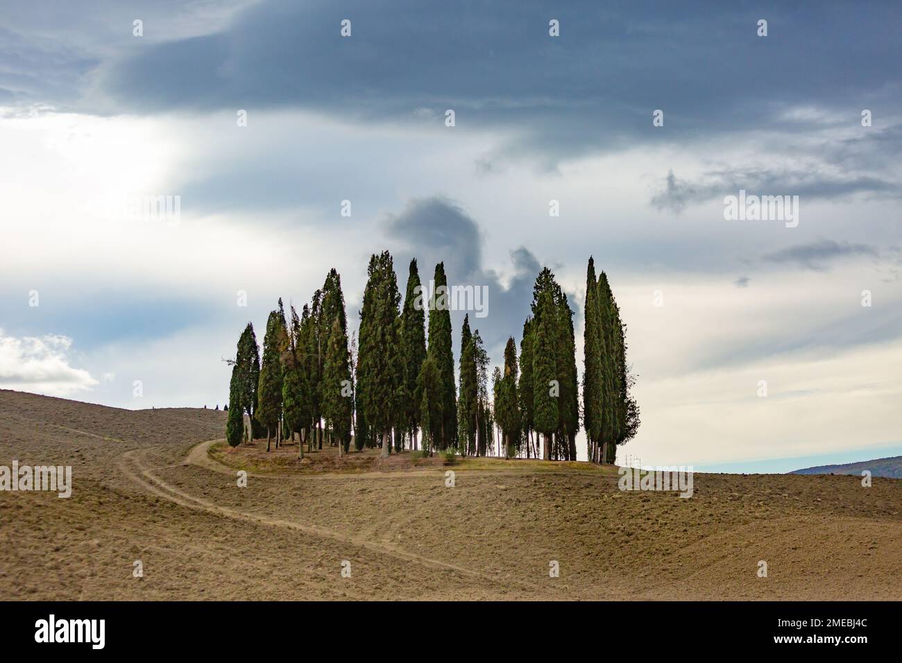 The iconic circle of cypress trees in Tuscany's Val d'Orcia in the fall ...