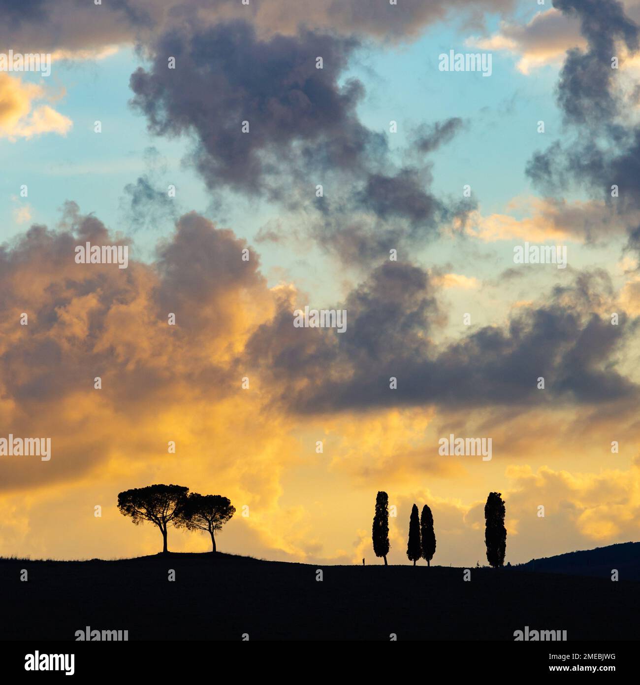 Tuscan landscape of trees on hilltop with dramatic clouds and sky at sunset, Tuscany, Italy ...