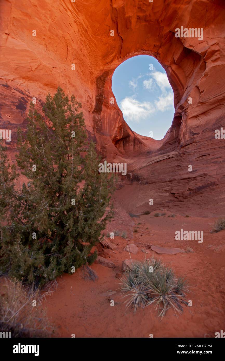 Ear of the Wind is one of several natural sandstone arches in Monument ...