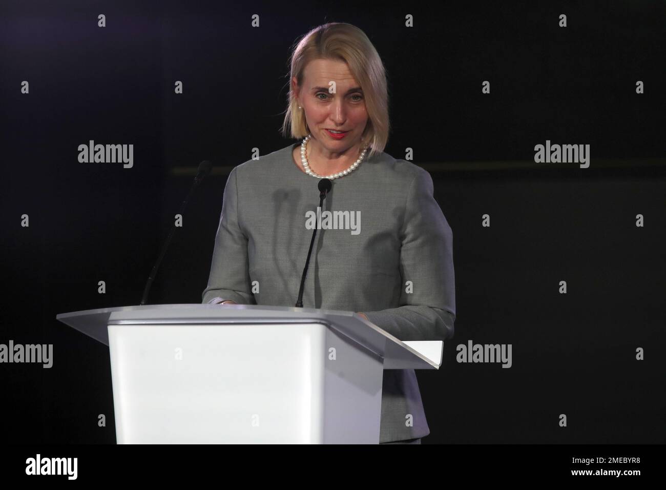 Non Exclusive: KYIV, UKRAINE - JANUARY 23, 2023 - Ambassador ...