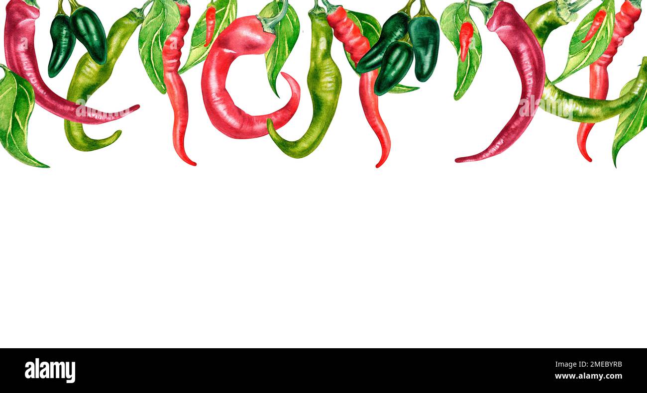 Board of various hot peppers watercolor illustration isolated on white ...
