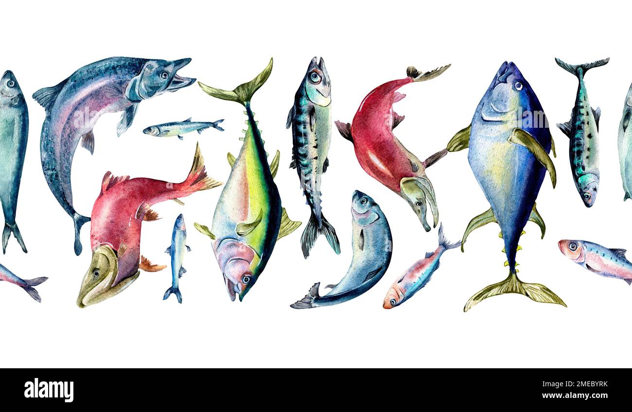 Seamless board of various fresh sea fish watercolor illustration ...
