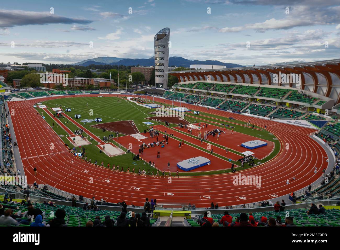 Runners compete in the men's 10,000 meters during the NCAA Division I ...