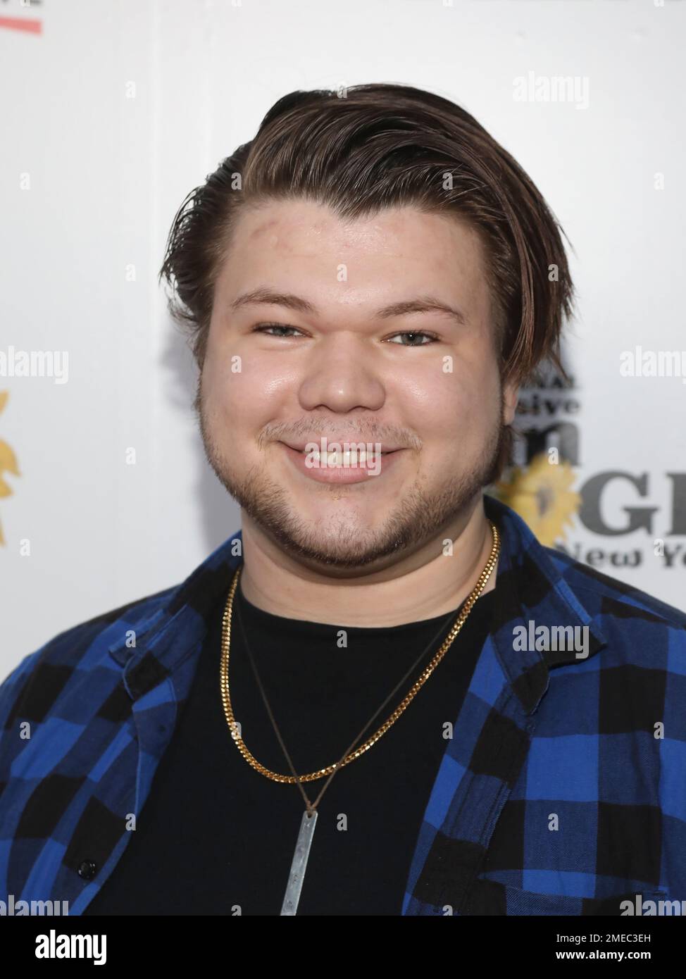 Actor Cian Genaro attends the "Immersive Van Gogh" art experience ...