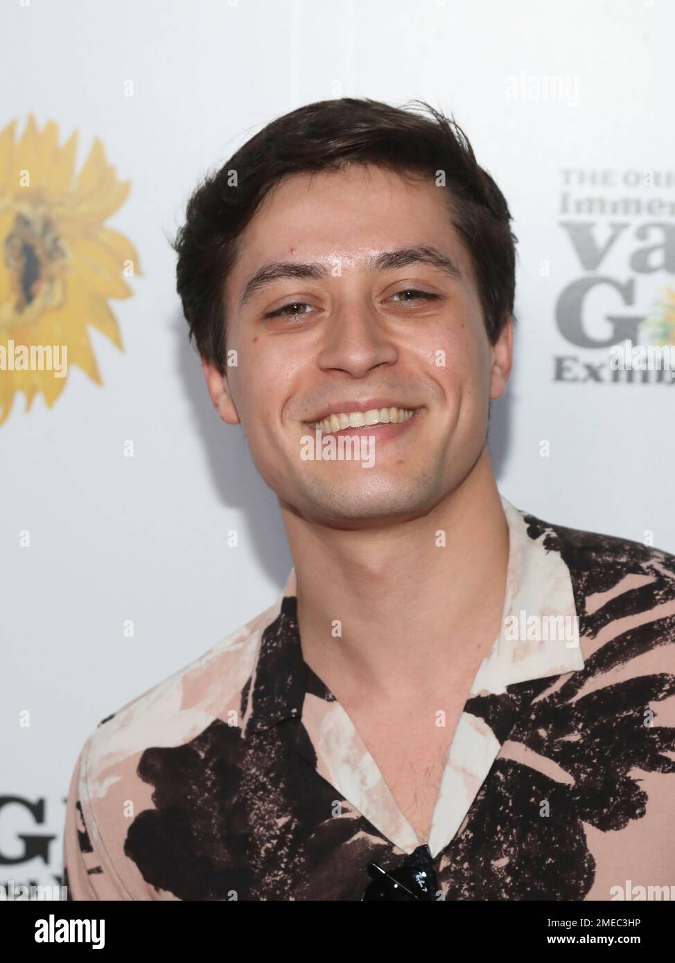 Actor Josh Strobl attends the "Immersive Van Gogh" art experience ...