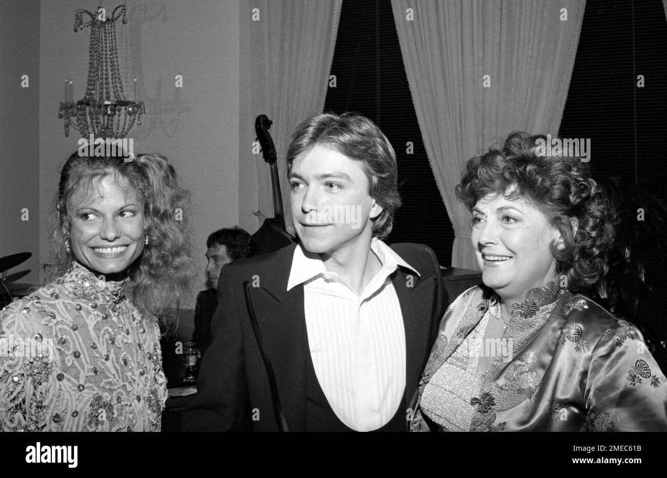 David cassidy 1981 hi-res stock photography and images - Alamy