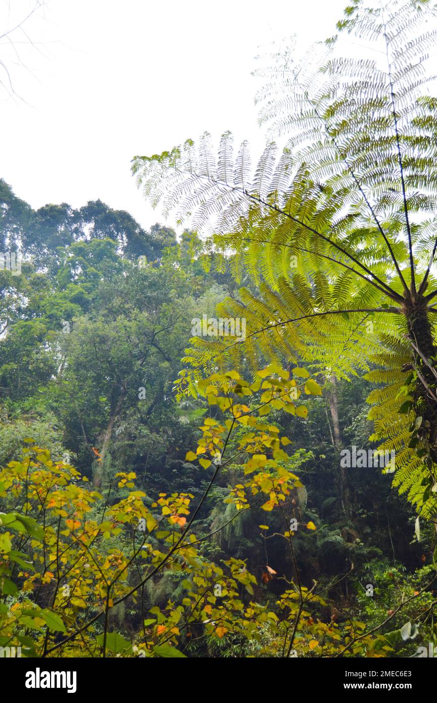 Swimming, Playing In The Water And Enjoying The Natural Beauty Of The ...