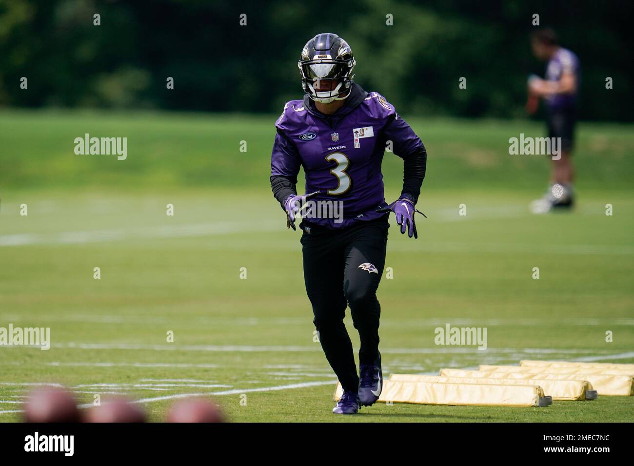 Baltimore Ravens linebacker L.J. Fort works out during the team's NFL ...