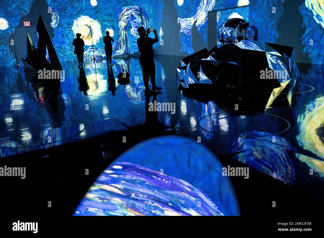 Projections of selected works of celebrated painter Vincent Van Gogh ...