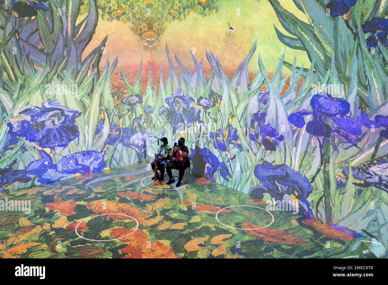 Projections of selected works of celebrated painter Vincent Van Gogh ...